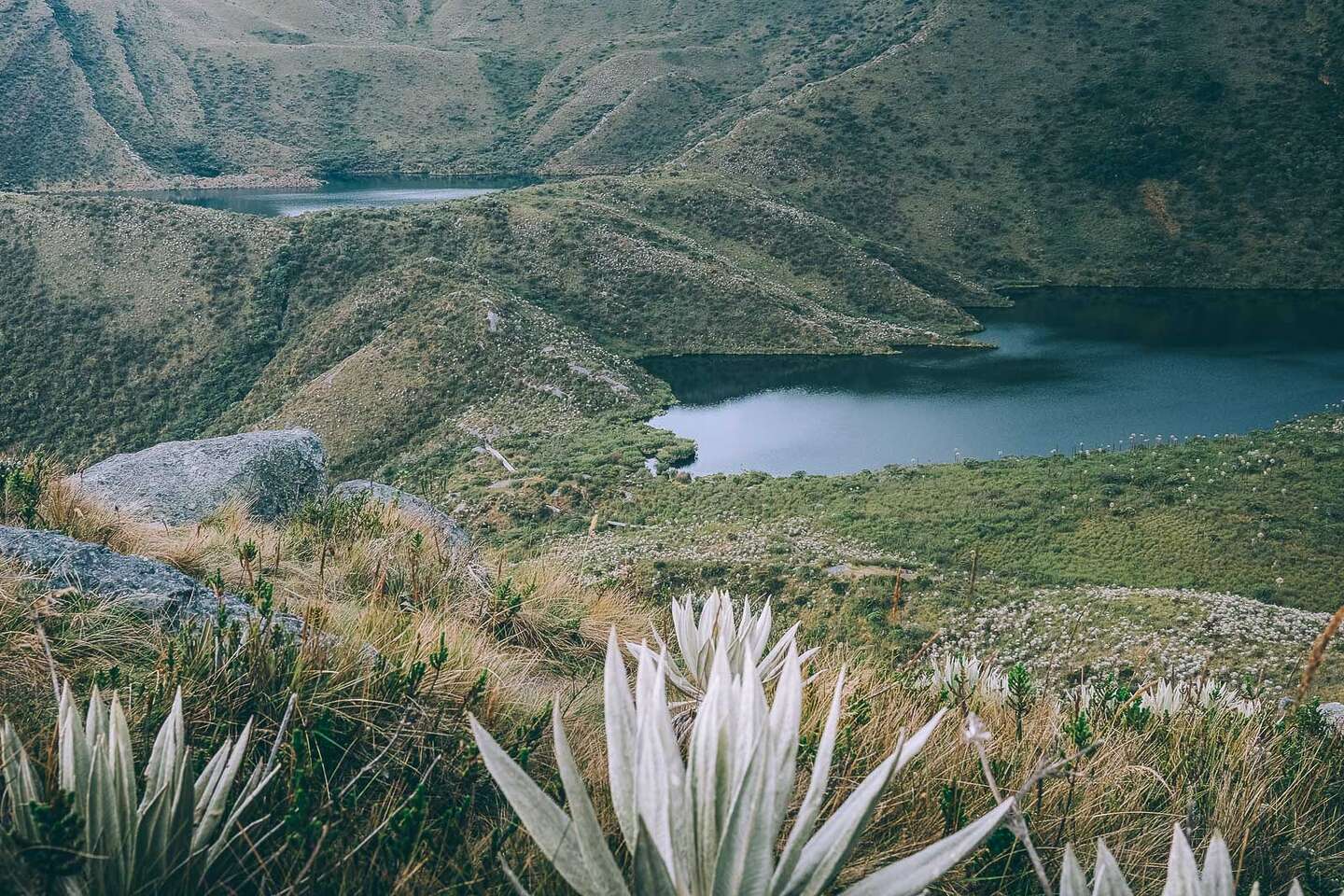 Paramo de Chingaza, Lagunas de Siecha » Blog de viaje por Colombia
